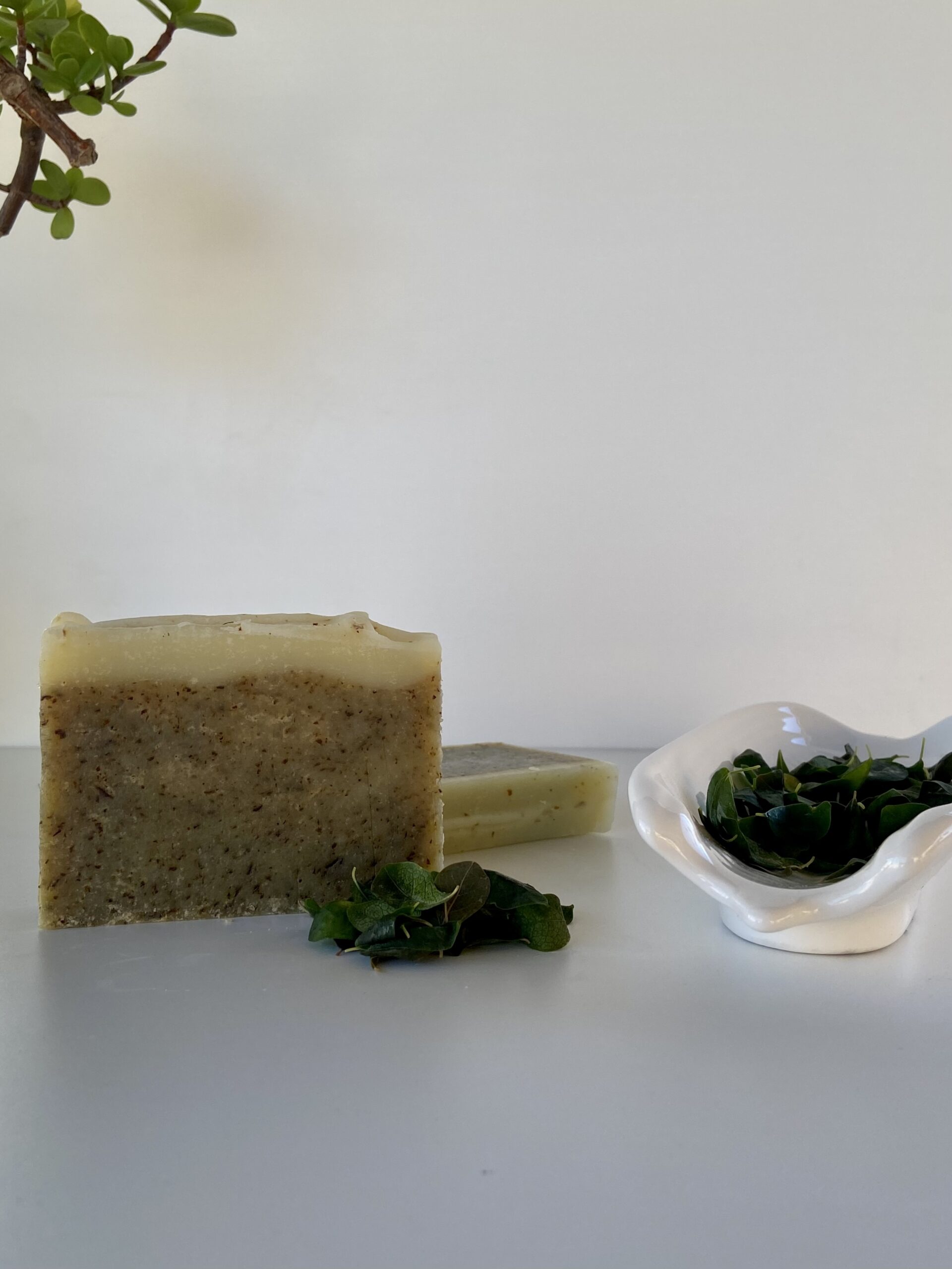 Moringa Soap - Handmade and Local Star Candle & Soap Mauritius
